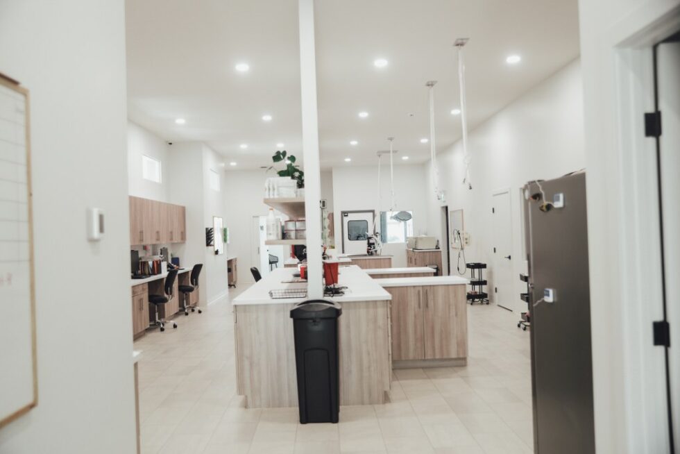 Why we started the Railtown Animal Hospital